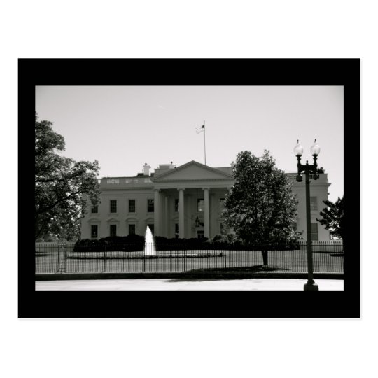 the white house postcard | Zazzle.com