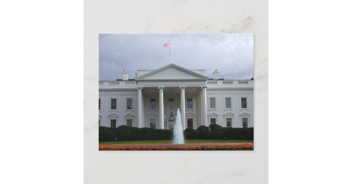 The White House Postcard | Zazzle