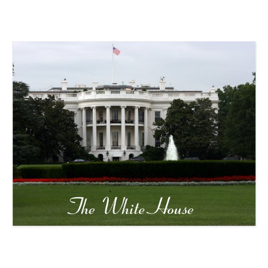 The White House Postcard | Zazzle.com