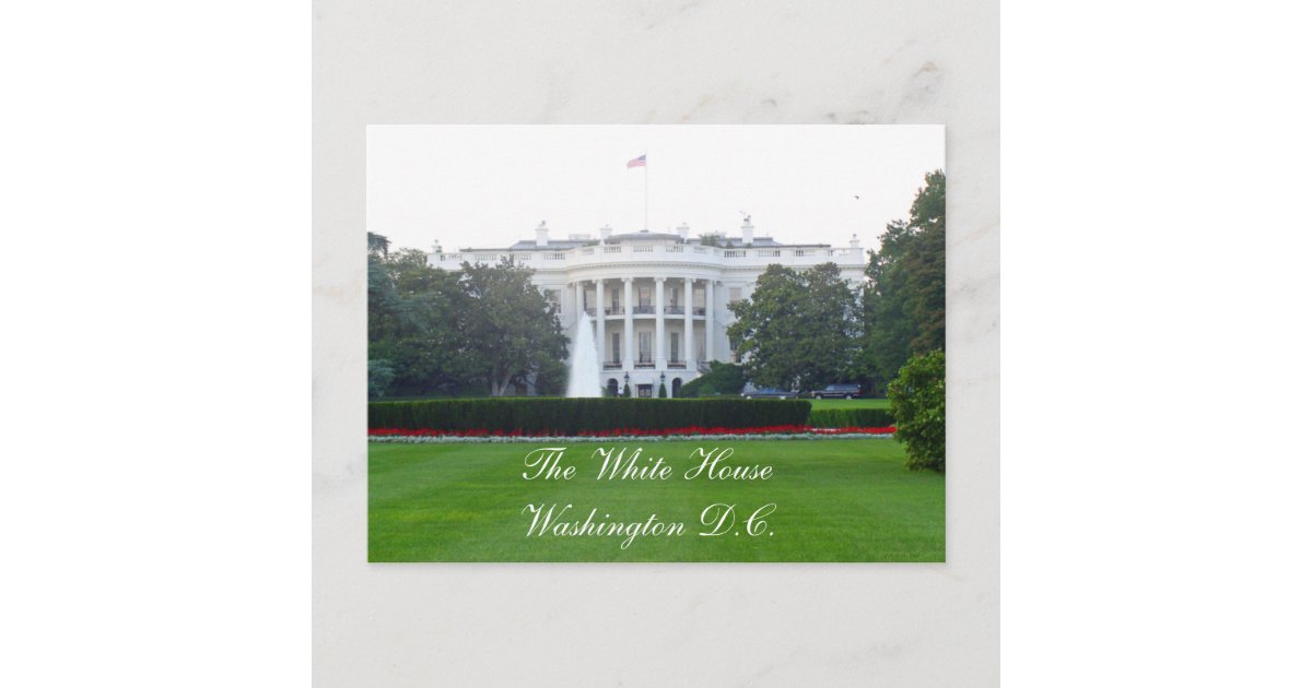 The White House Postcard | Zazzle