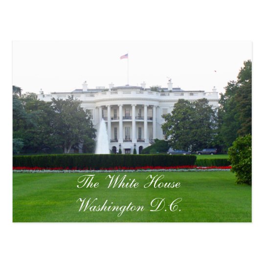 The White House Postcard | Zazzle.com