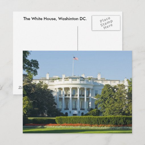The White House Postcard | Zazzle