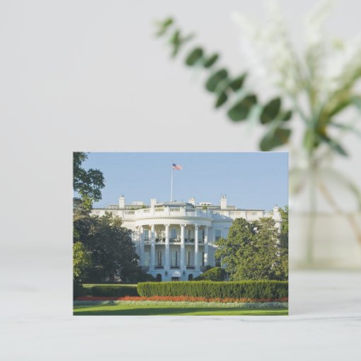 The White House Postcard | Zazzle