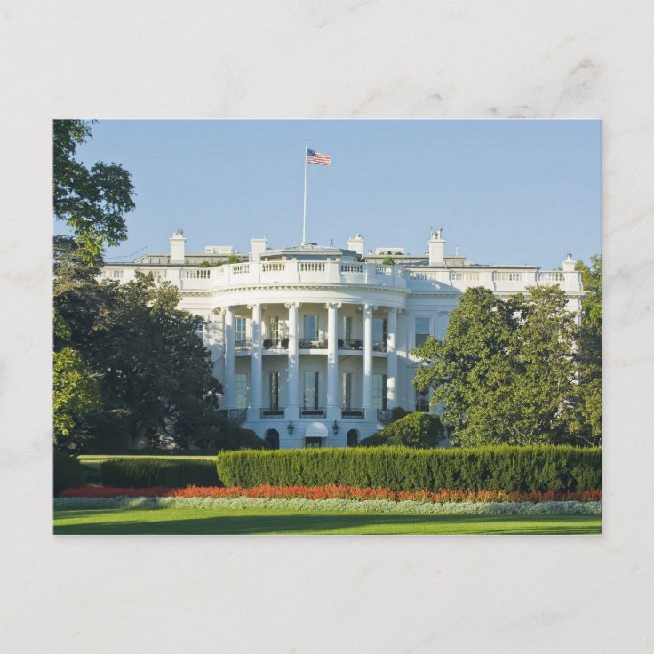 The White House Postcard | Zazzle