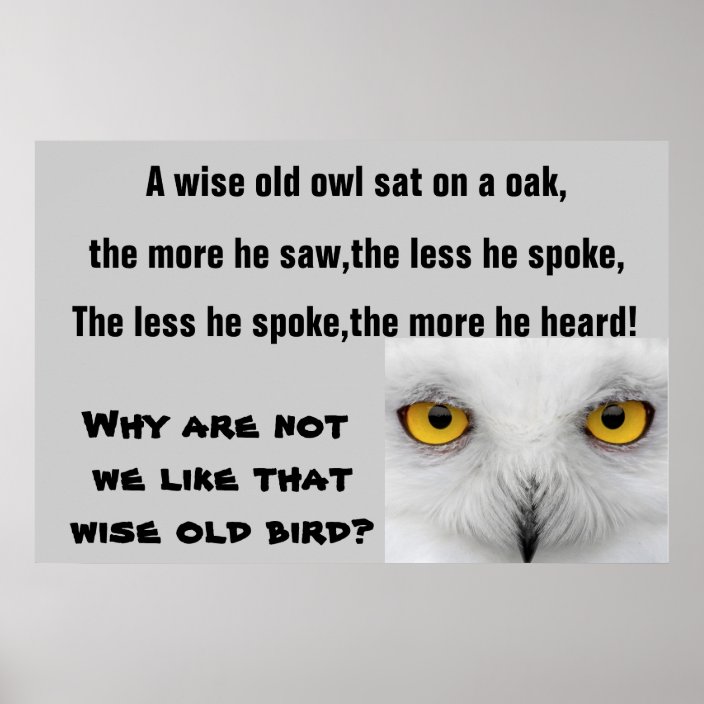 THE WISE OLD OWL poster | Zazzle.com