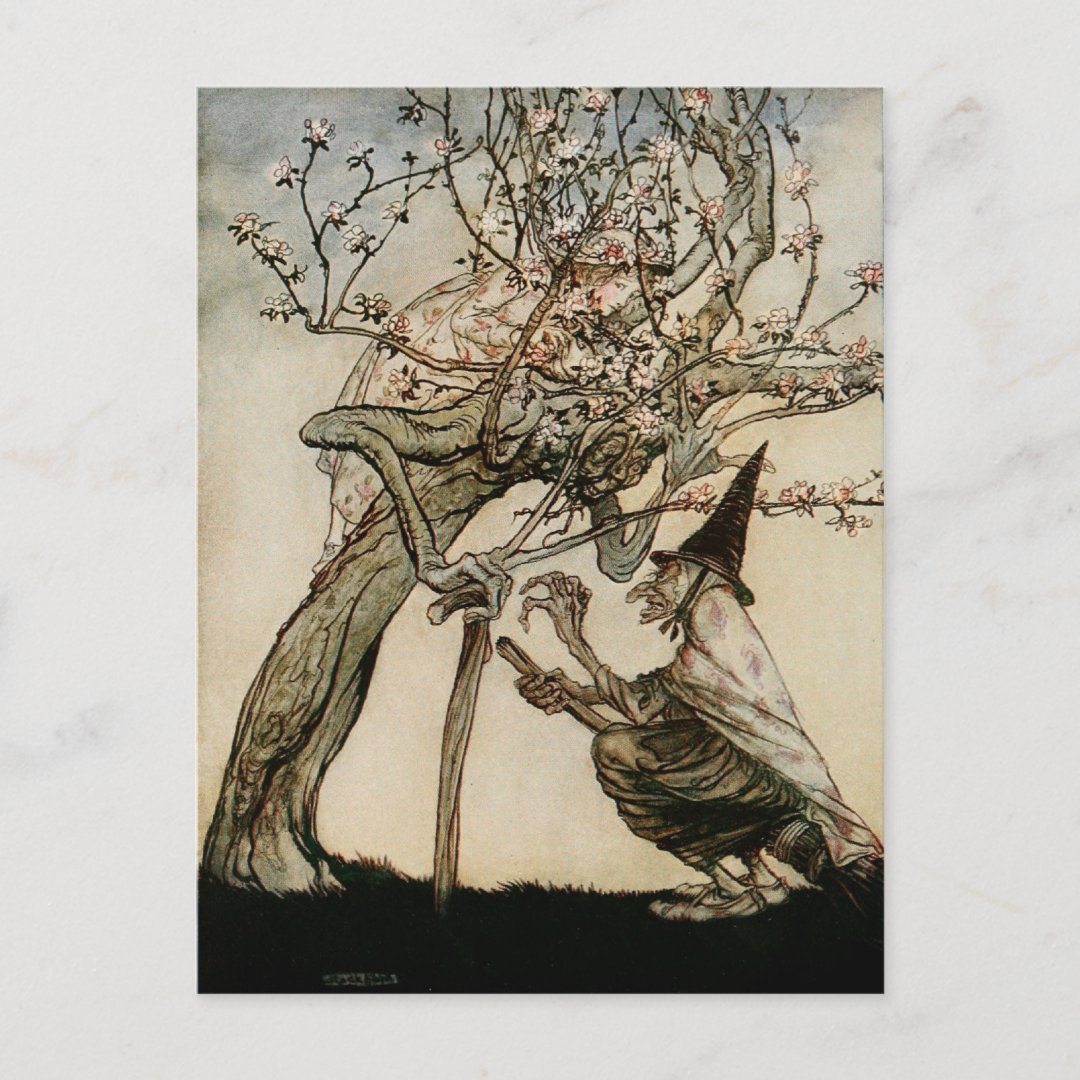 The Witch and Old Lady Tree 1922 Postcard | Zazzle