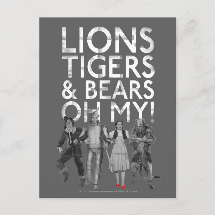 The Wizard Of Oz™ | Lions Tigers & Bears Oh My! Postcard | Zazzle