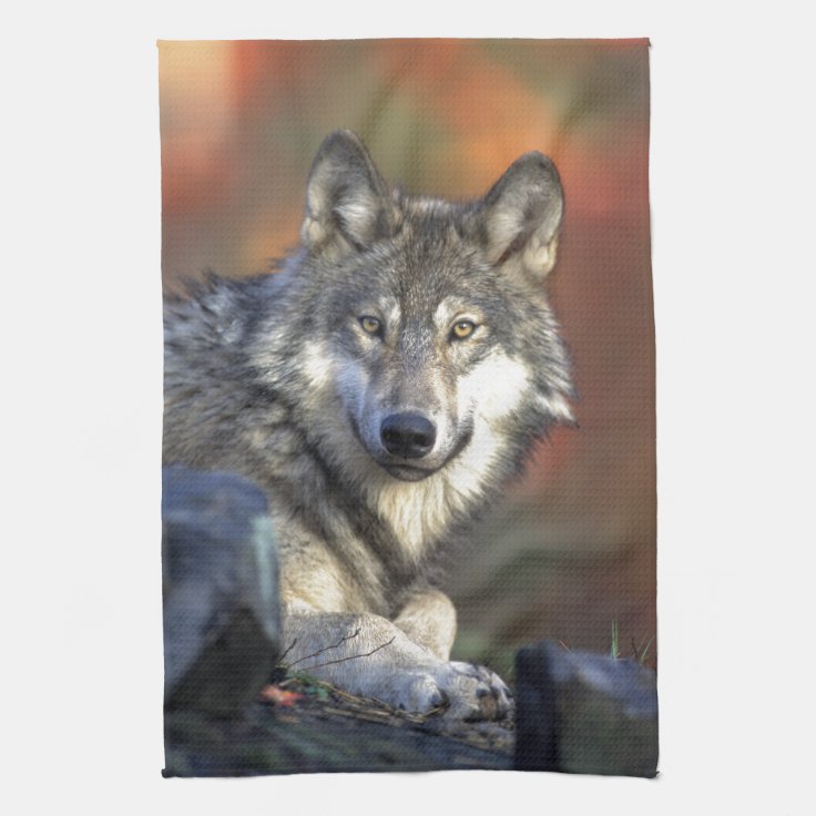 The Wolf Towel | Zazzle