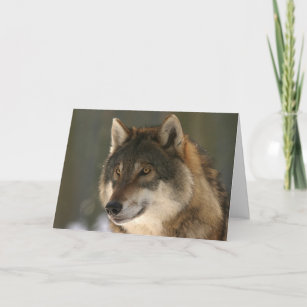 Wolf Valentine's Day Cards | Zazzle