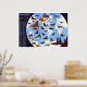 " The World: 1987 Pinniped around the World ... Poster | Zazzle
