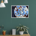 " The World: 1987 Pinniped around the World ... Poster | Zazzle