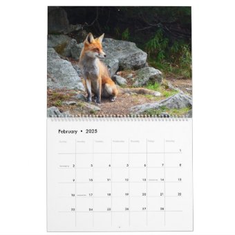 The Year of The Fox Calendar | Zazzle