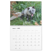 The Year of The Fox Calendar | Zazzle