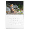 The Year of The Fox Calendar | Zazzle