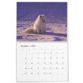 The Year of The Fox Calendar | Zazzle