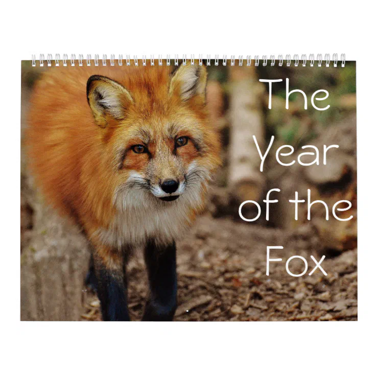 The Year of The Fox Calendar | Zazzle