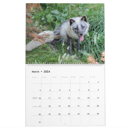 The Year of The Fox Calendar | Zazzle