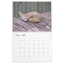 The Year of The Fox Calendar | Zazzle