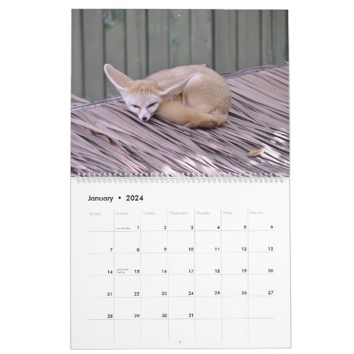 The Year of The Fox Calendar | Zazzle