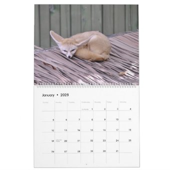 The Year of The Fox Calendar | Zazzle
