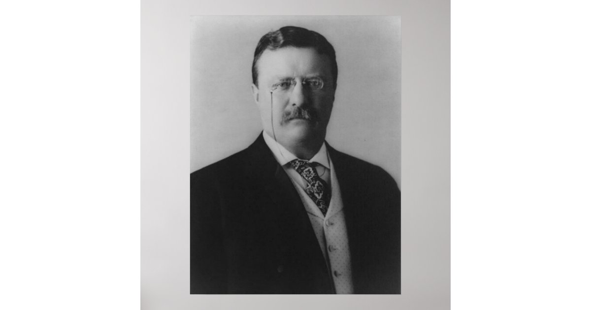 Theodore Roosevelt Portrait Poster | Zazzle
