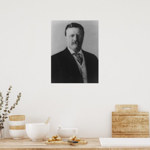 Theodore Roosevelt Portrait Poster | Zazzle
