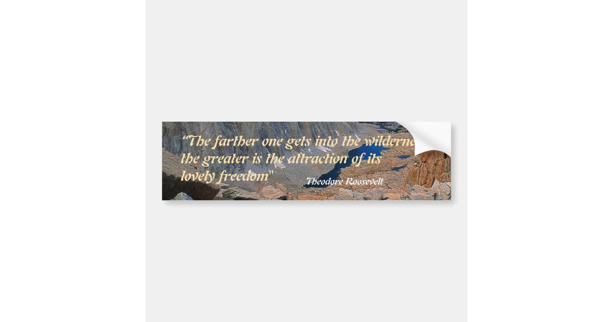 Theodore Roosevelt Quotation Bumper Sticker | Zazzle