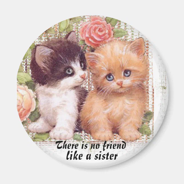 there is no friend like a sister magnet | Zazzle