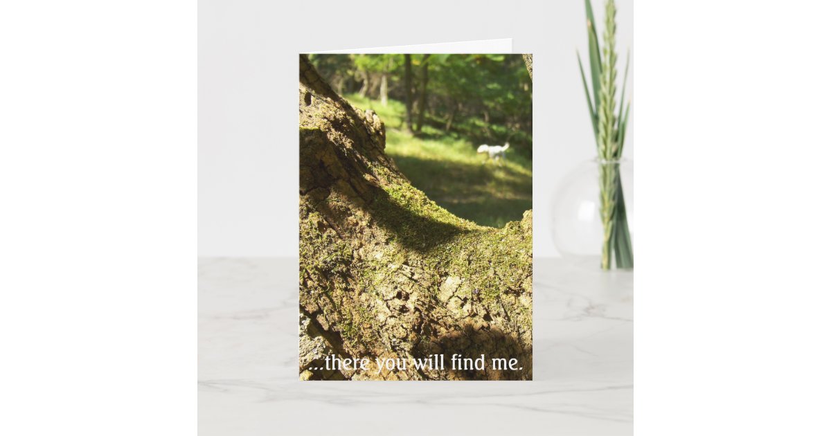 There you will find me. card | Zazzle