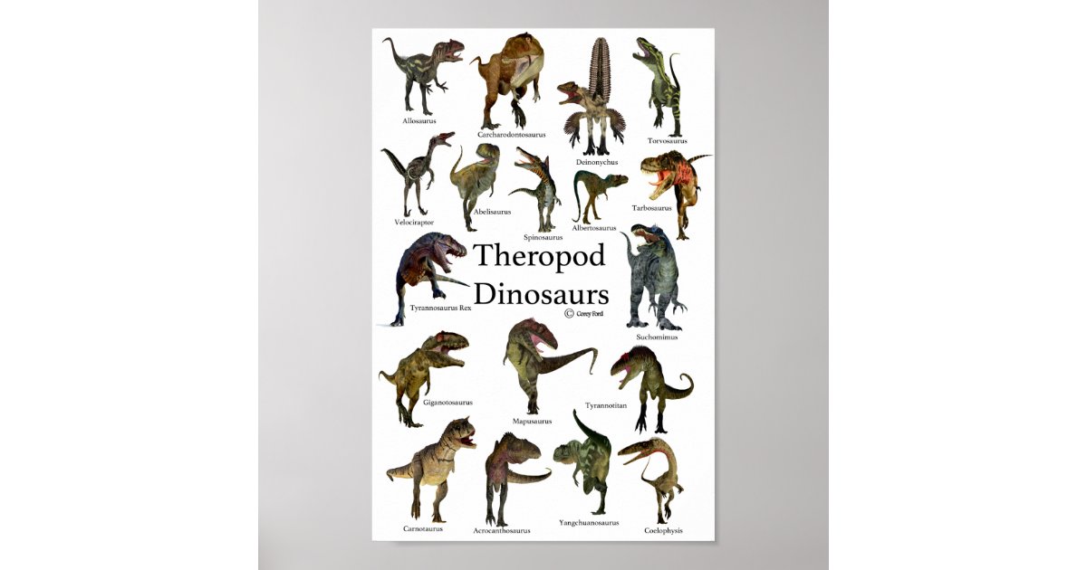 Theropod Dinosaurs Poster | Zazzle