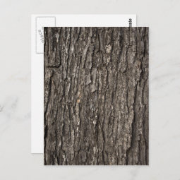Thick Tree Bark Postcard | Zazzle