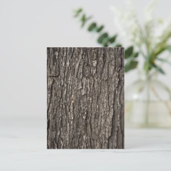 Thick Tree Bark Postcard | Zazzle