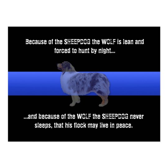 Thin Blue Line The Sheepdog Never Sleeps Postcard | Zazzle.com