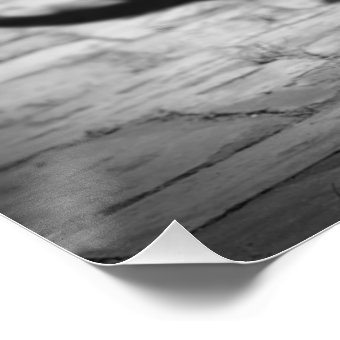 "Think Big" Cat Shadow Poster 20" x 20" | Zazzle