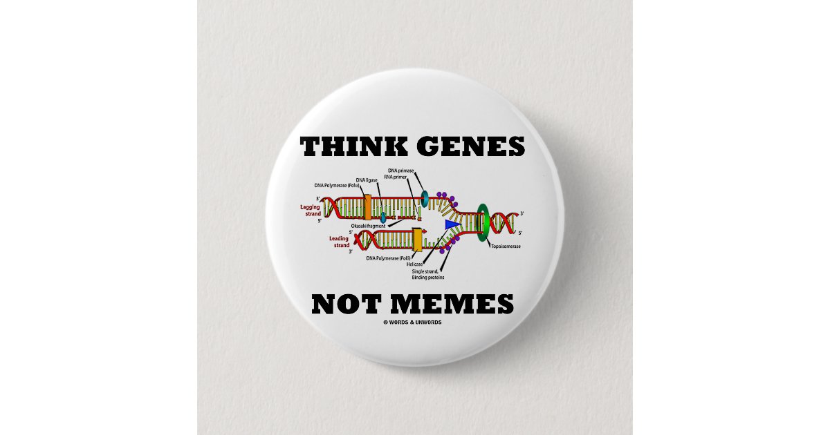 Think Genes Not Memes (DNA Replication) Button | Zazzle