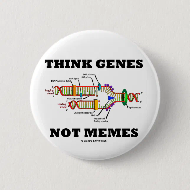 Think Genes Not Memes (DNA Replication) Button | Zazzle