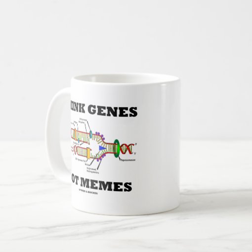 Think Genes Not Memes (DNA Replication) Coffee Mug | Zazzle