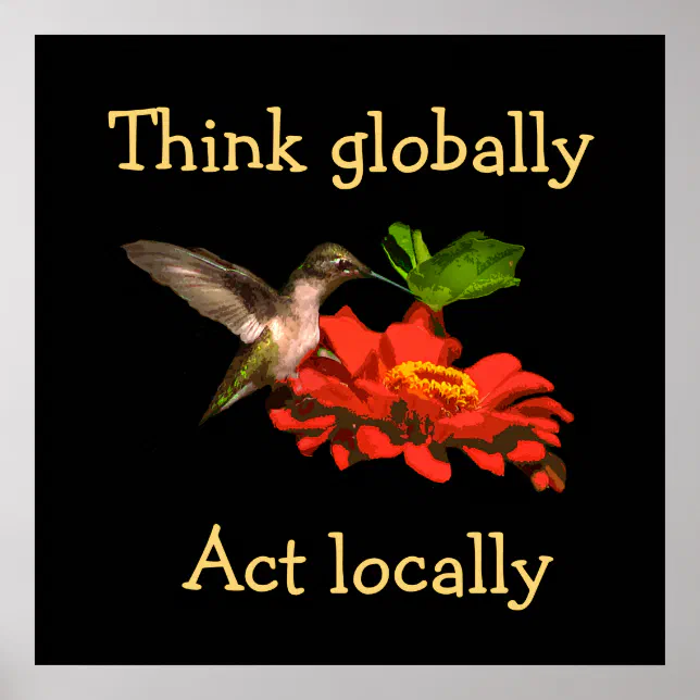 Think Globally Act Locally Hummingbird Poster | Zazzle