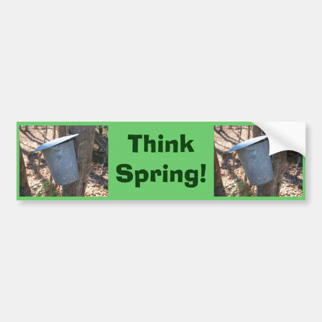Think Spring Maple Syrup Buckets Bumper Sticker | Zazzle