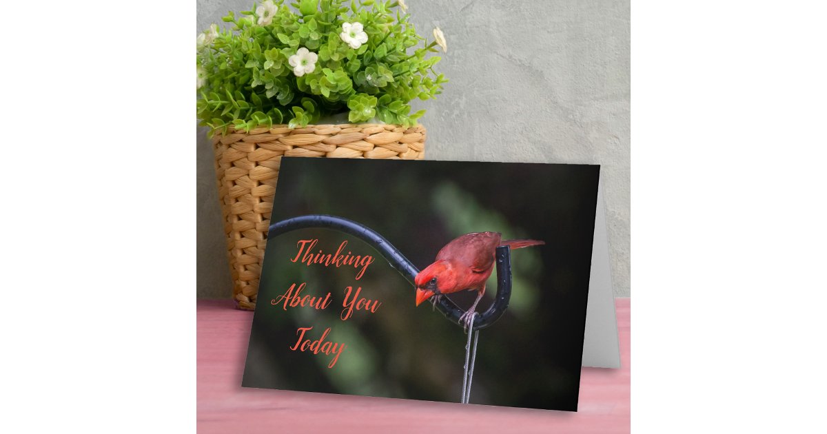 Thinking About You Today Greeting Card | Zazzle