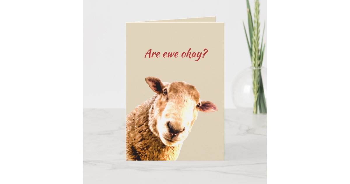 Thinking of Ewe Funny Sheep Animal Humor Card | Zazzle.com