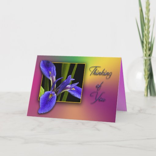 Thinking of You Blue Iris Card | Zazzle