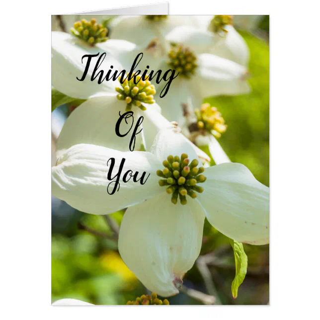 Thinking of you card | Zazzle