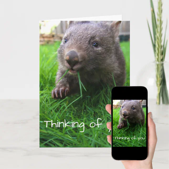 Thinking of you card! Cute wombat, wildlife card | Zazzle