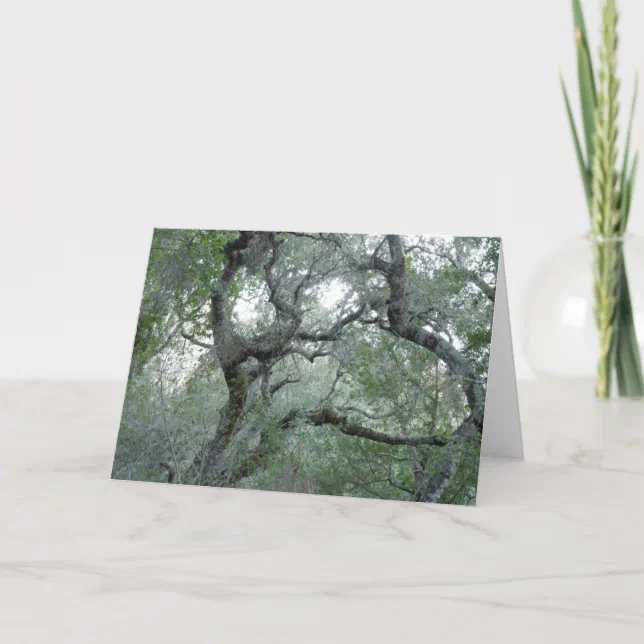 Thinking of You Card Tangled Oak Trees | Zazzle
