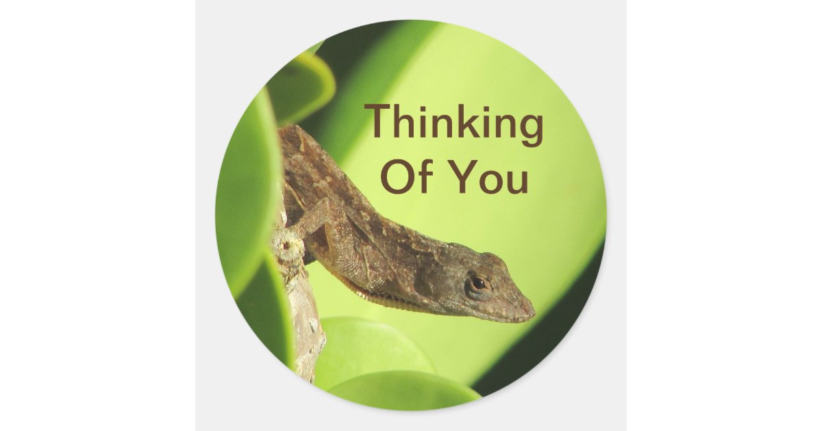 Thinking Of You Cute Reptile Gecko Friendship Classic Round Sticker ...