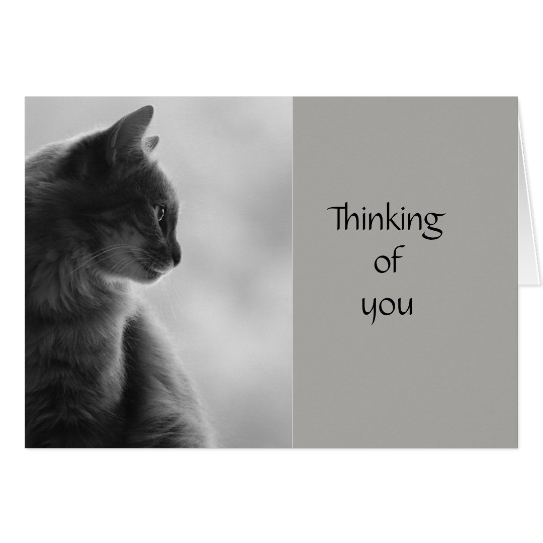 Thinking of You Encouraging Thoughtful Cat Kitten | Zazzle