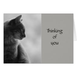 Thinking of You Encouraging Thoughtful Cat Kitten | Zazzle