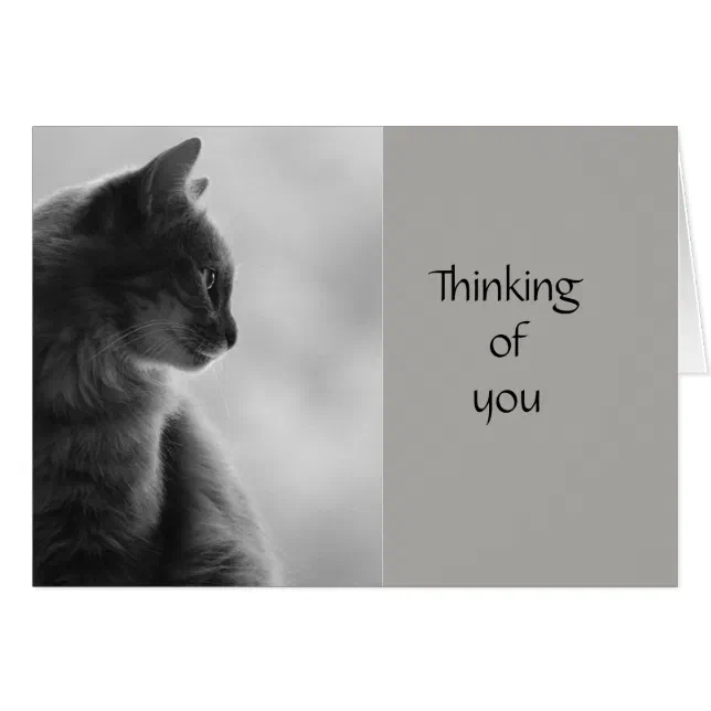 Thinking of You Encouraging Thoughtful Cat Kitten | Zazzle