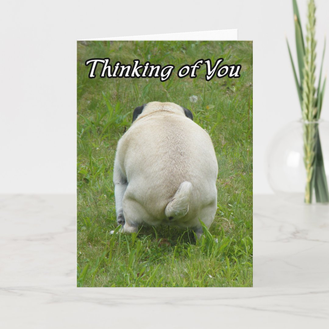 Thinking of You Funny Rude Pug Card | Zazzle
